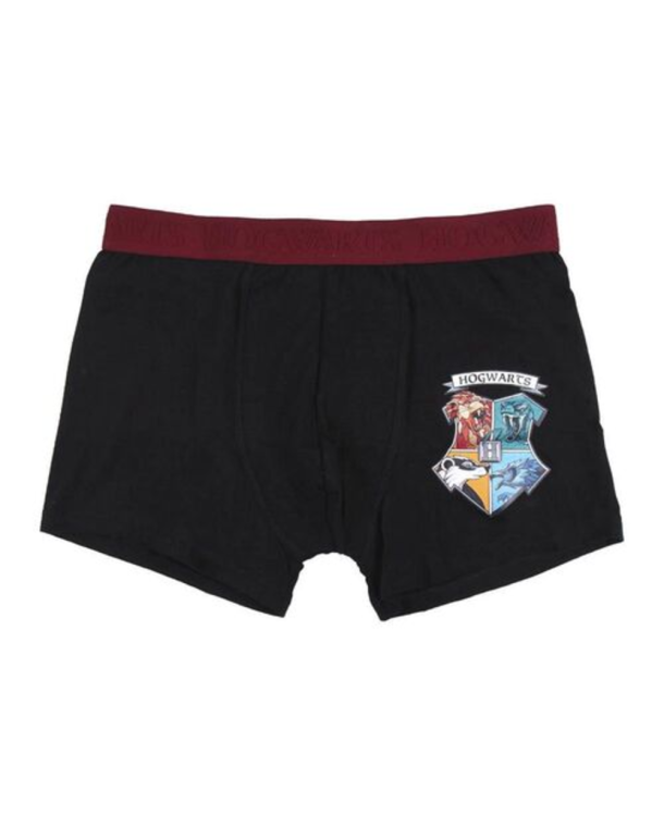 pack-2-boxer-harry-potter