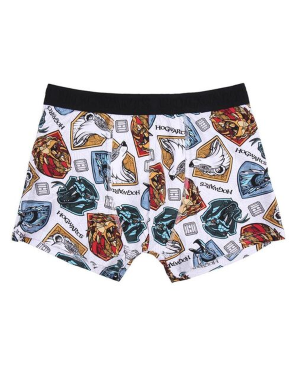 pack-2-boxer-harry-potter
